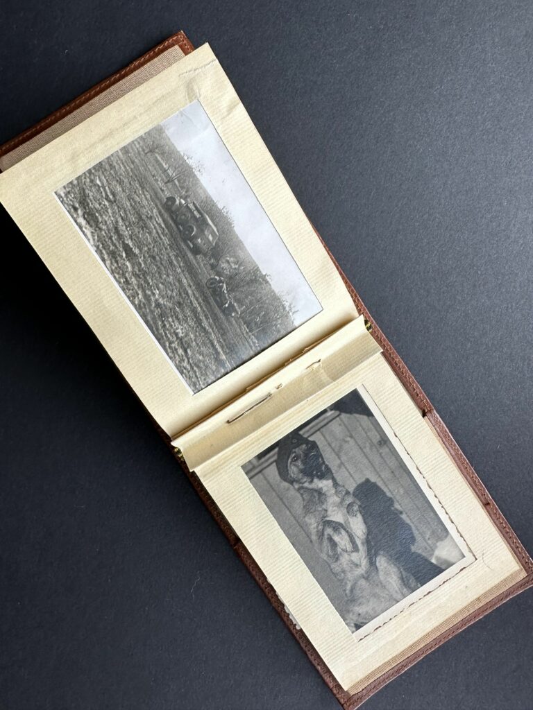 Wehrmacht Album - Timeless History